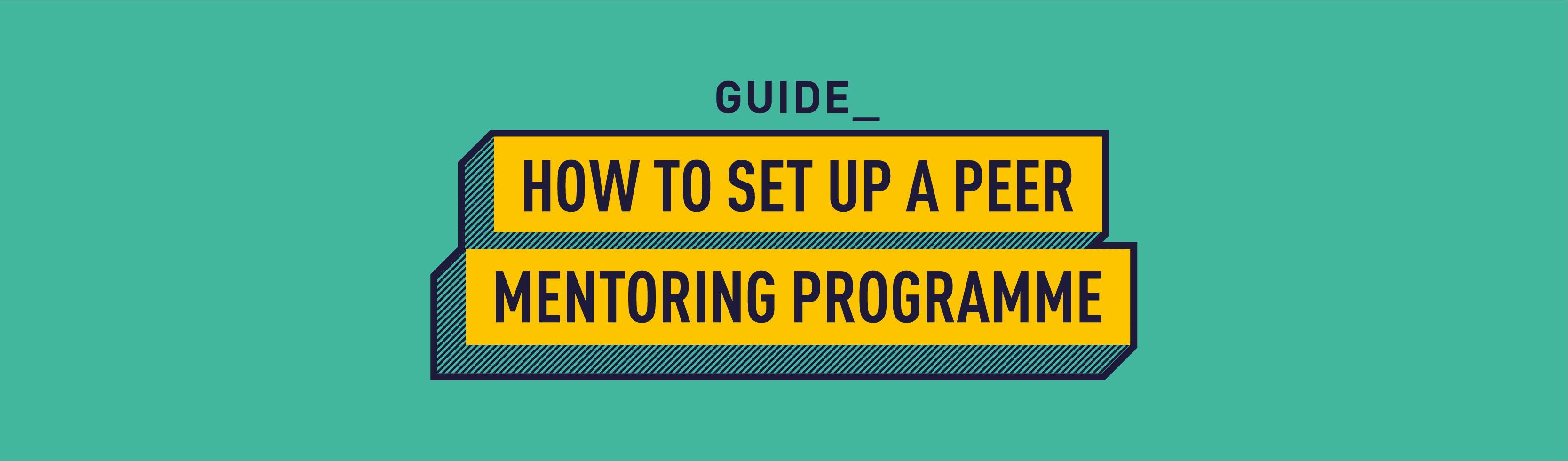 How to Set Up a Peer Mentoring Programme